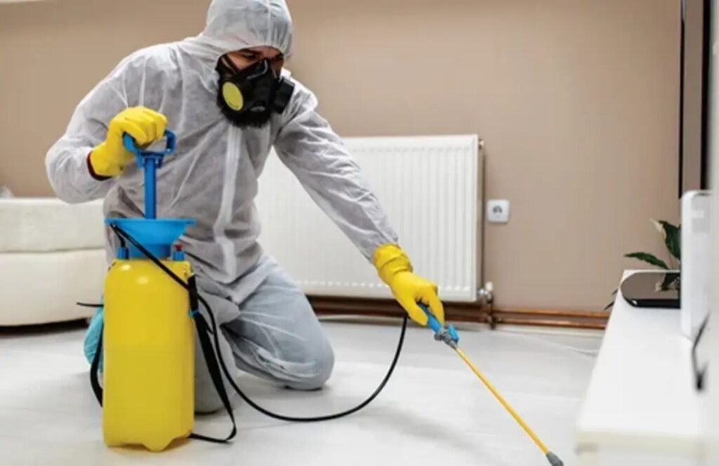 Effective Pest Control Services in Andover: Say Goodbye to Unwanted Guests